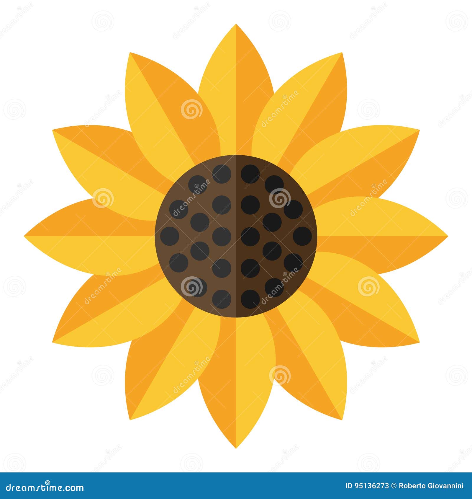 Yellow Sunflower Flower Vector Isolated | CartoonDealer.com #102120345