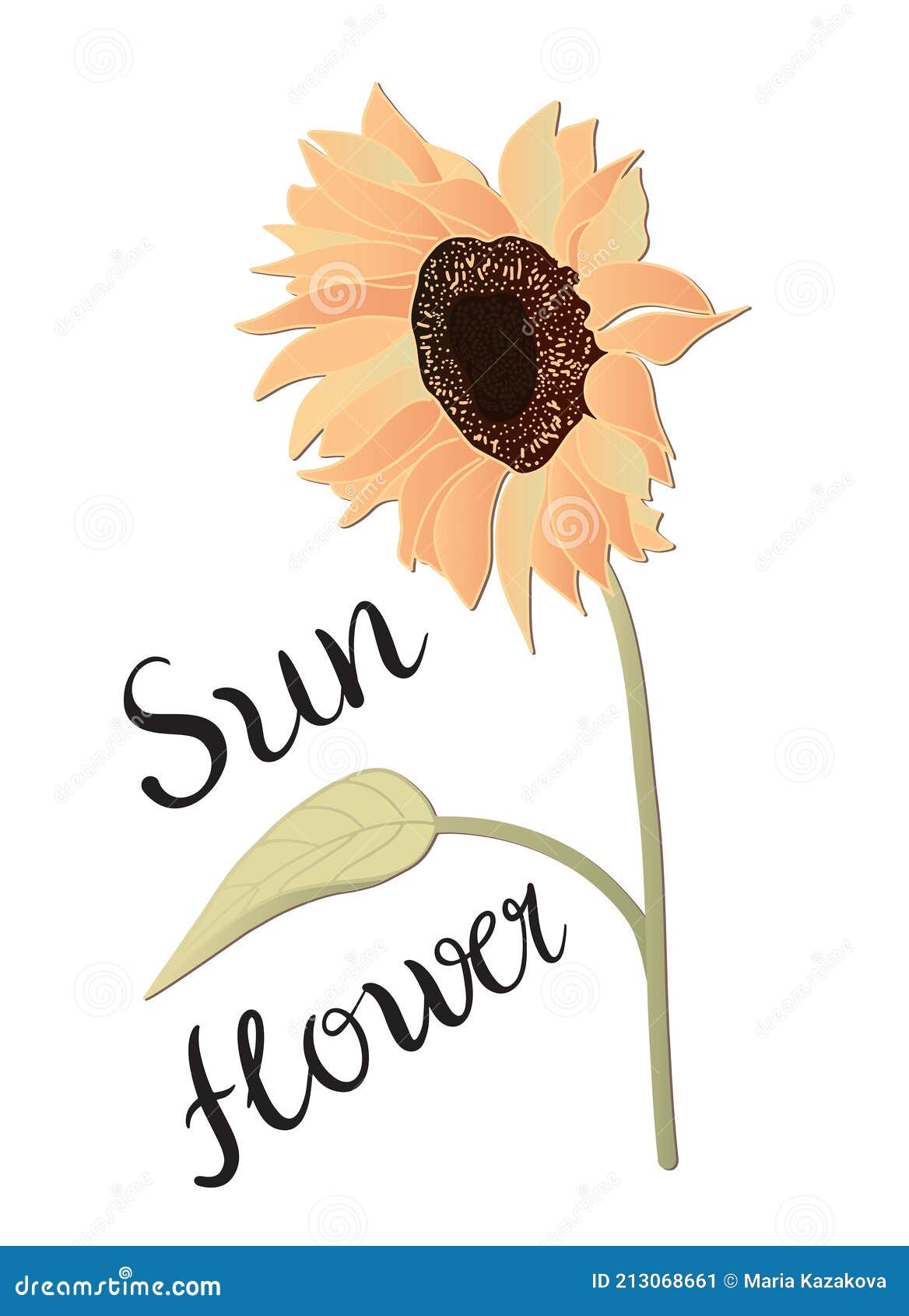 Yellow Sunflower with Lettering on White Background Stock Vector ...