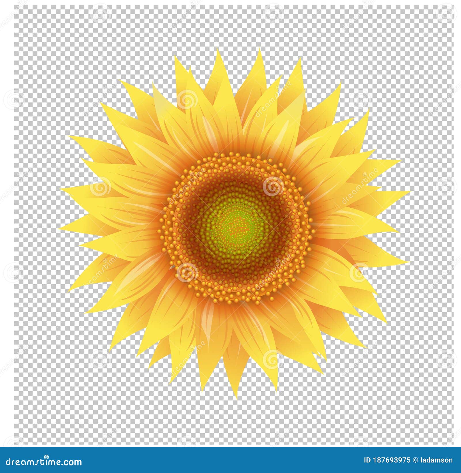 YELLOW SUNFLOWER PATTERN Cartoon Vector | CartoonDealer.com #85395053