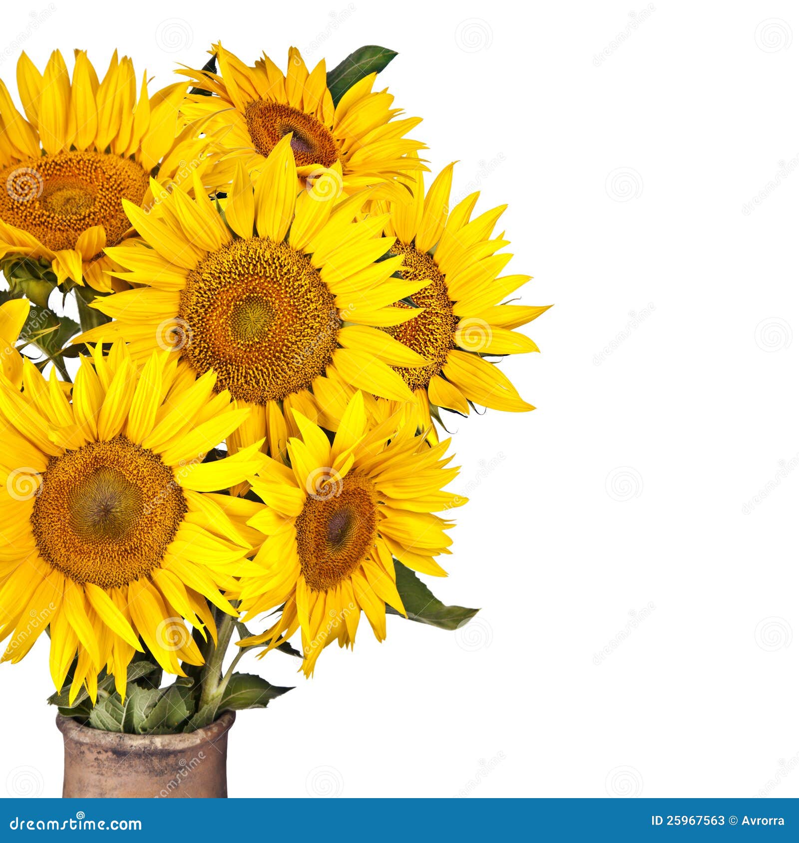 Yellow sunflowers stock image. Image of life, worn, vase - 25967563