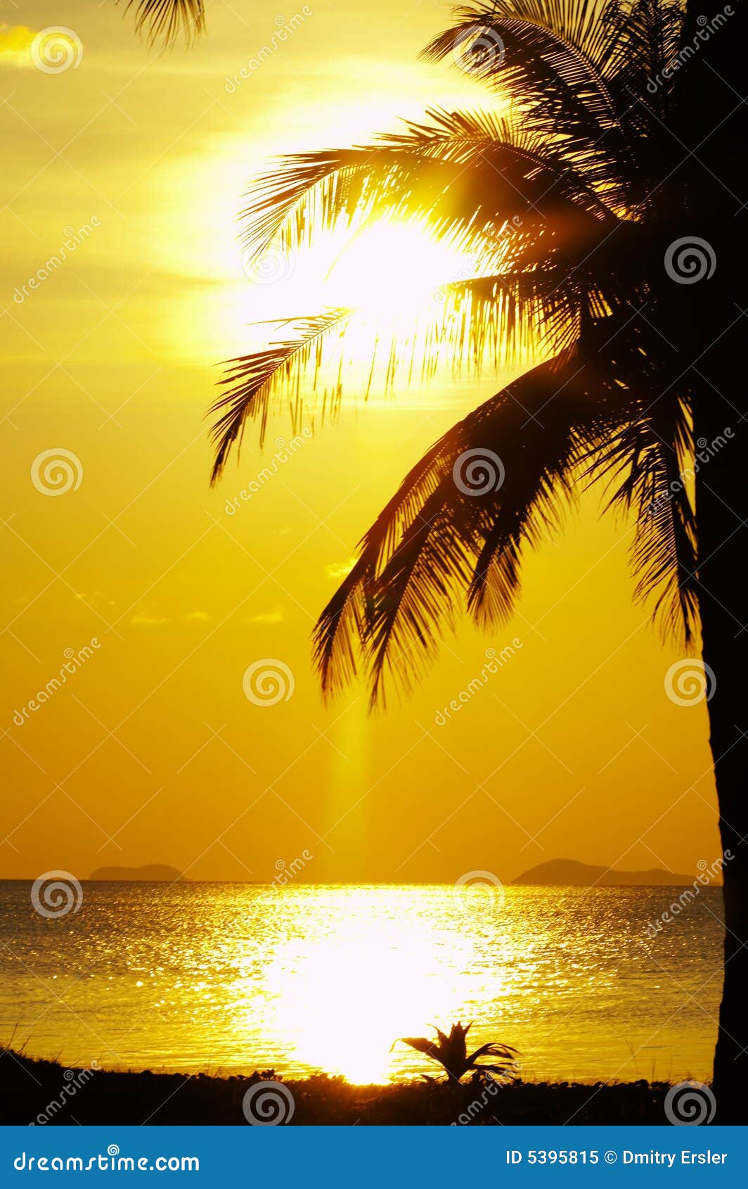 Yellow sunset stock image. Image of coast, evening, idyllic - 5395815
