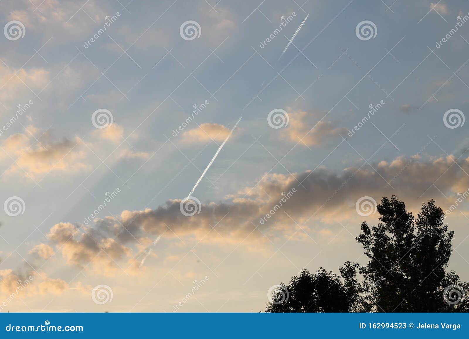 Sunset in the woods stock image. Image of forest, countryside - 162994523