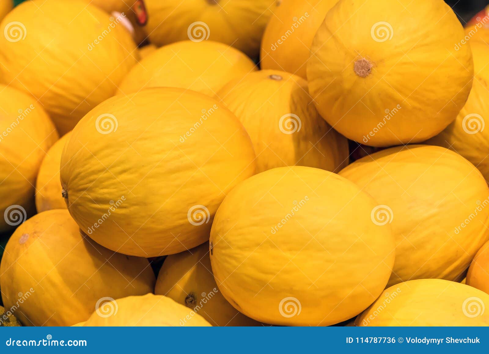 Yellow melon texture stock photo. Image of health, healthy - 114787736