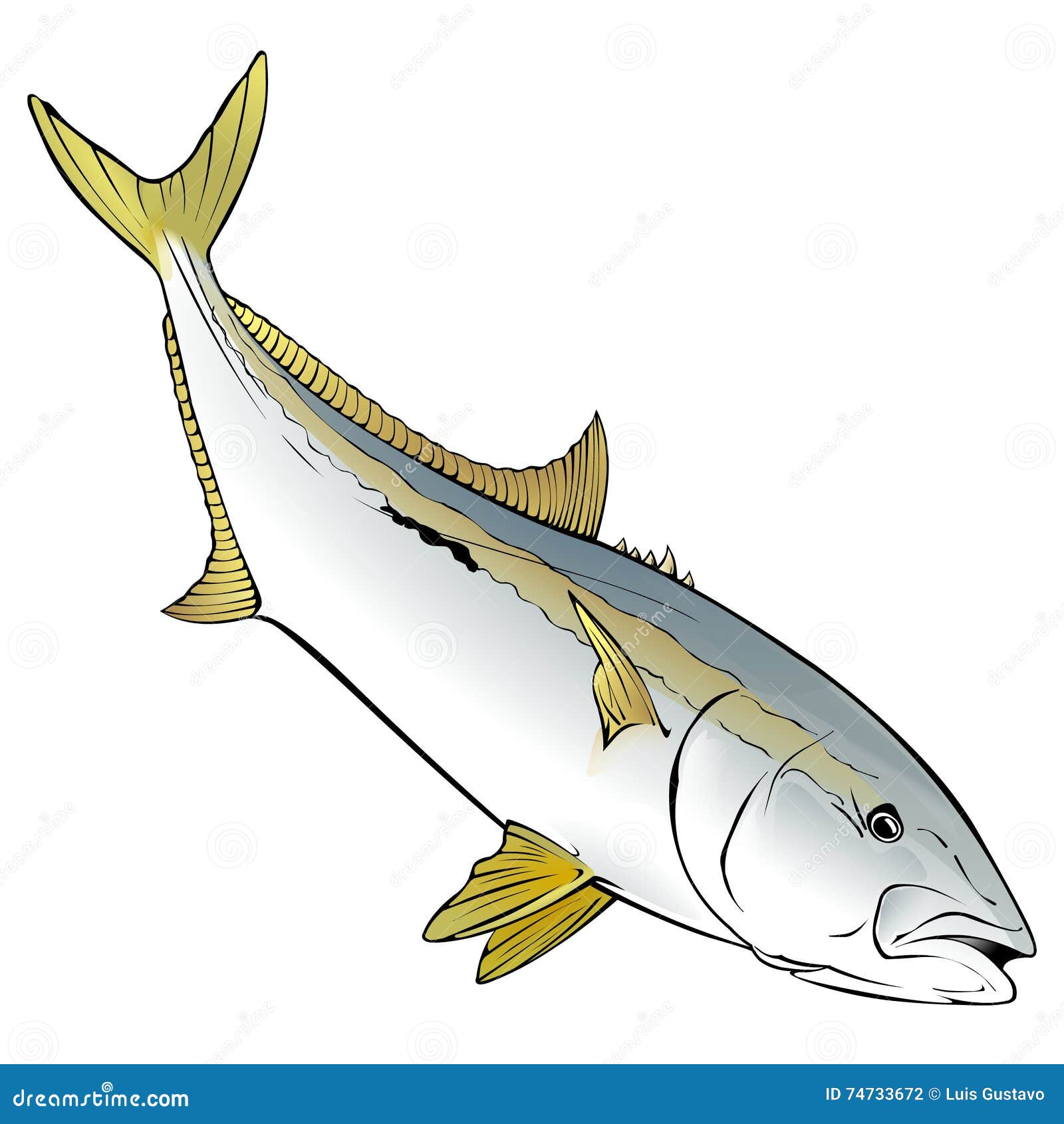 Yellow Tail Vector Illustration Stock Vector - Illustration of vector ...
