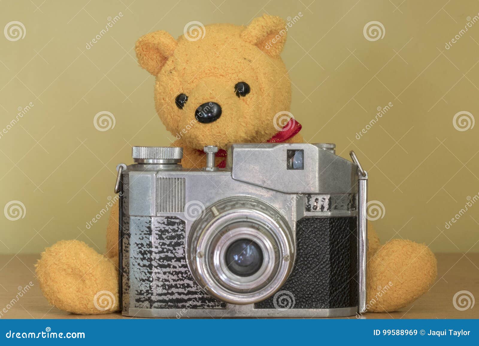 A Yellow Teddy Bear with a Camera Stock Image - Image of photographer ...