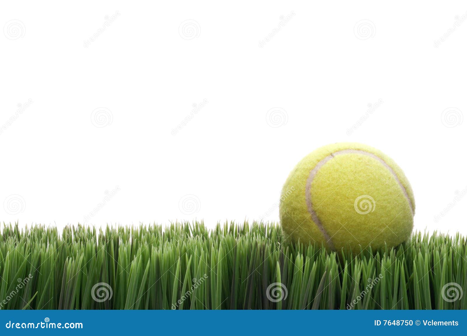 A Yellow Tennis Ball on Grass Stock Photo - Image of white, action: 7648750