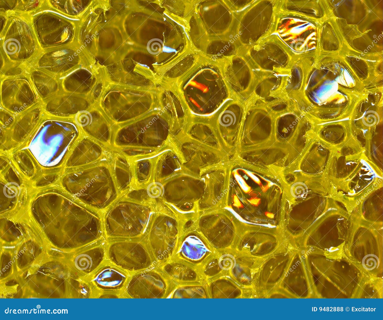 Yellow texture stock photo. Image of sponge, material - 9482888