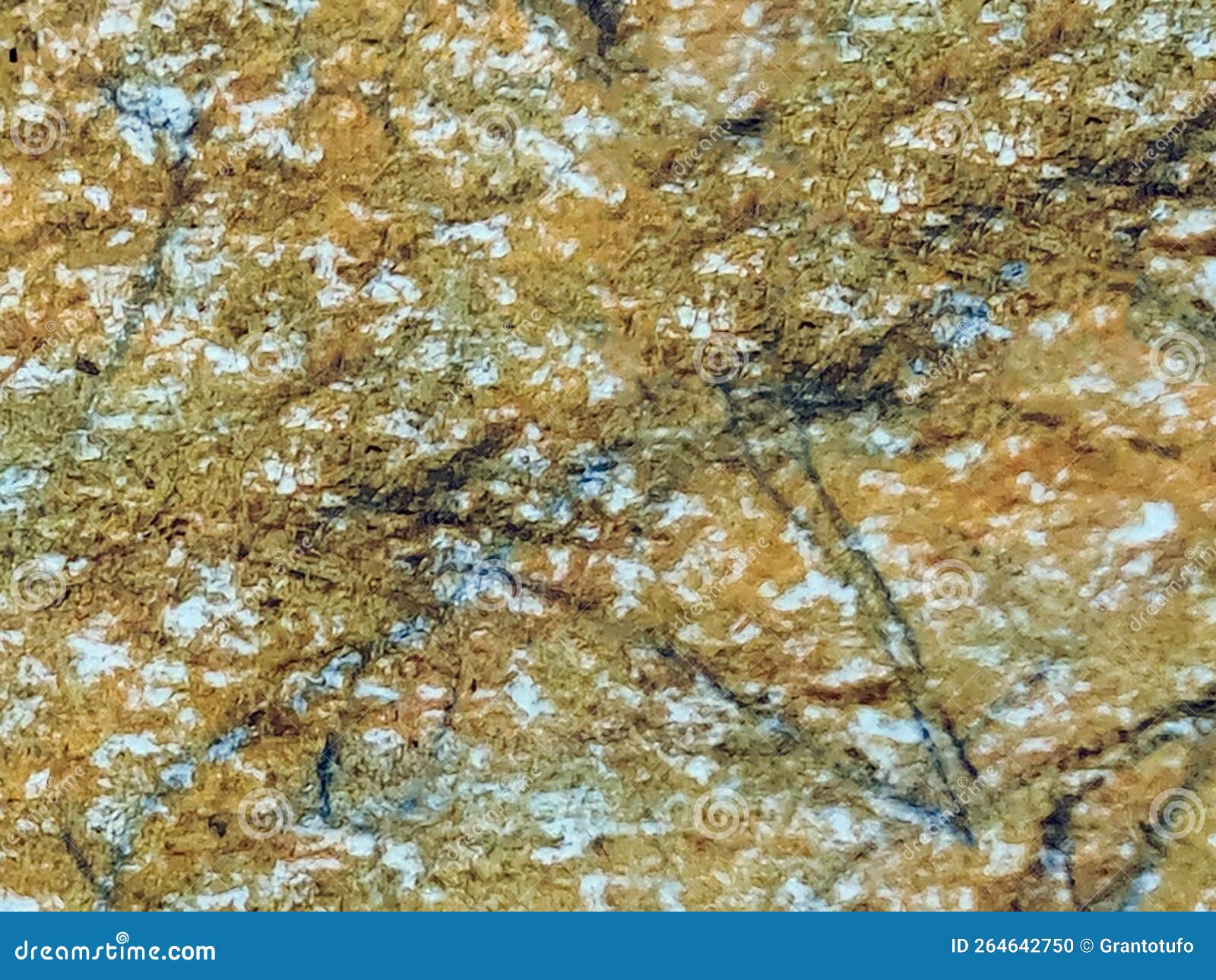 Yellow texture stock photo. Image of border, blast, paper - 264642750