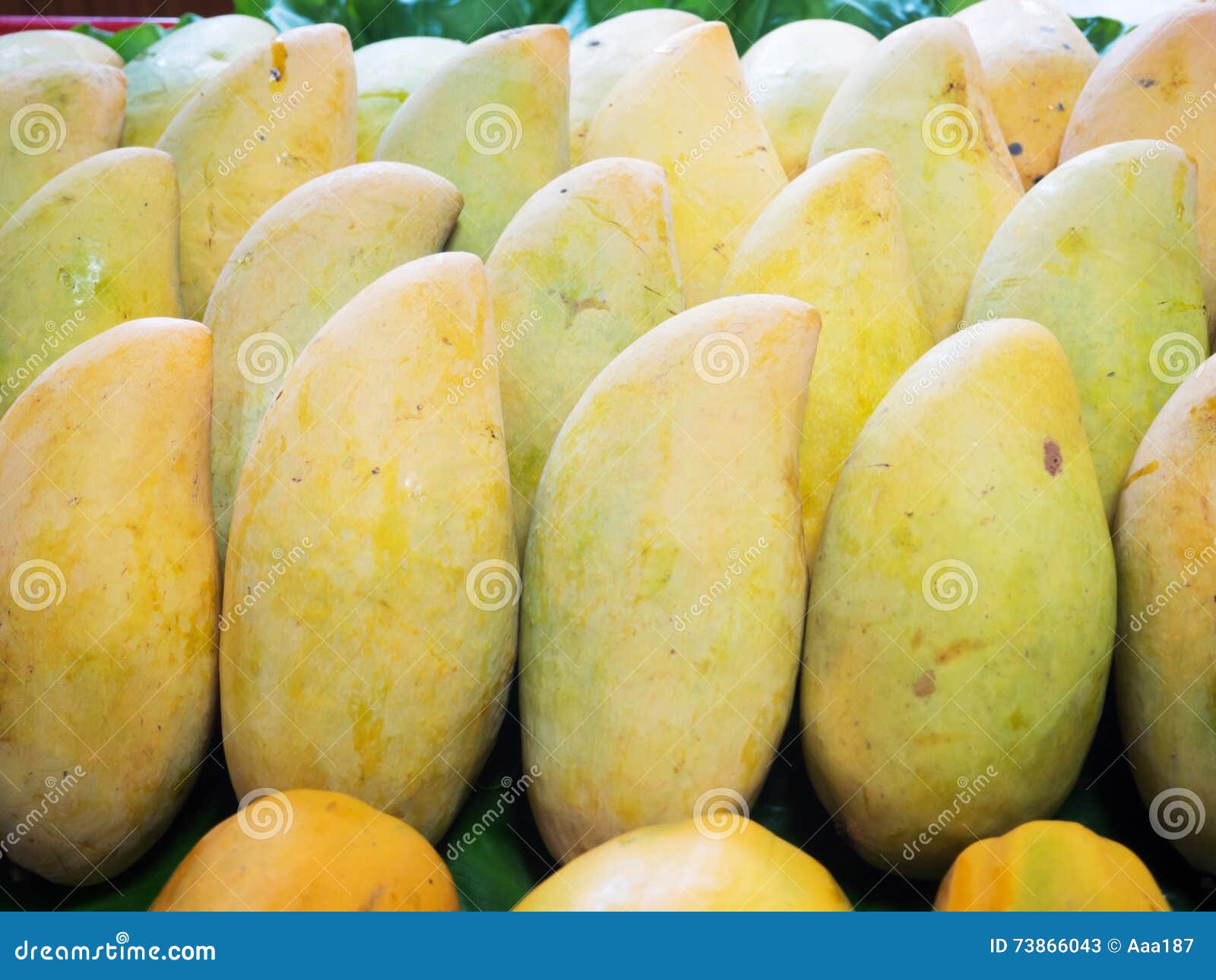 Yellow Thai mango stock image. Image of agriculture, healthy - 73866043