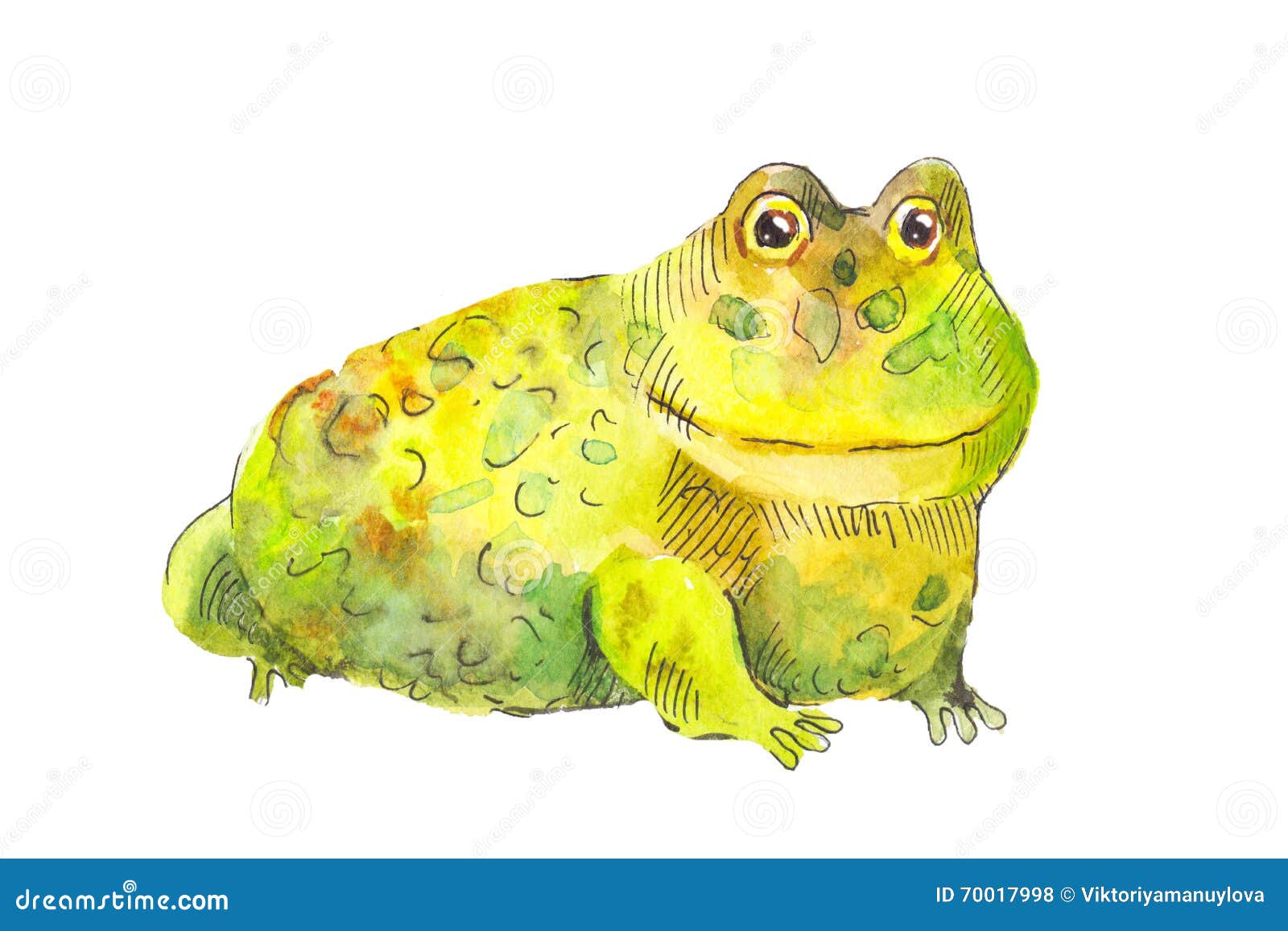 Yellow Toad Stock Illustrations – 719 Yellow Toad Stock Illustrations ...