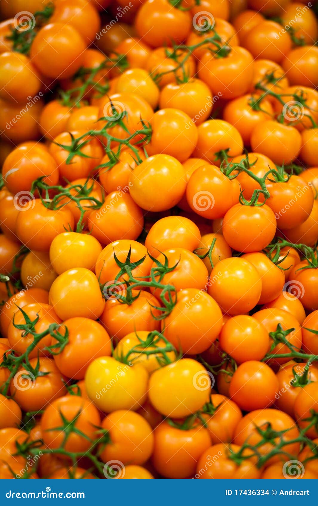 Yellow Tomatoes stock photo. Image of yellow, market - 17436334