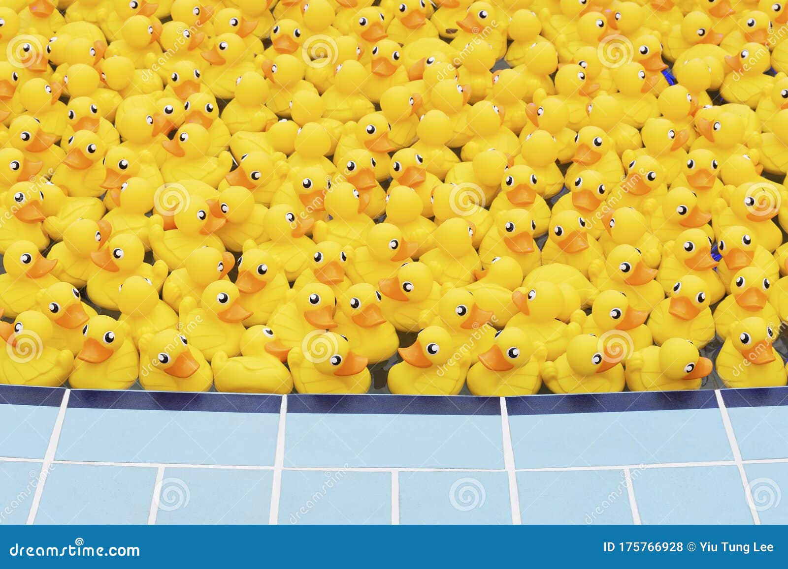 Yellow toy duck stock photo. Image of happy, crowd, childhood - 175766928