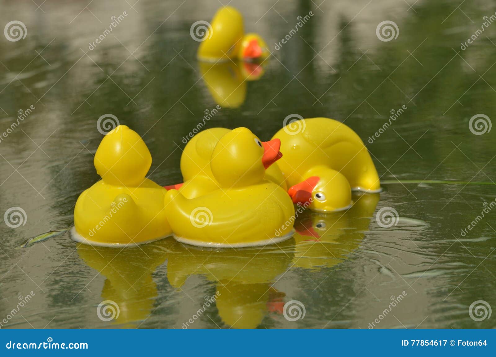 Yellow toy ducks on water stock image. Image of summer - 77854617