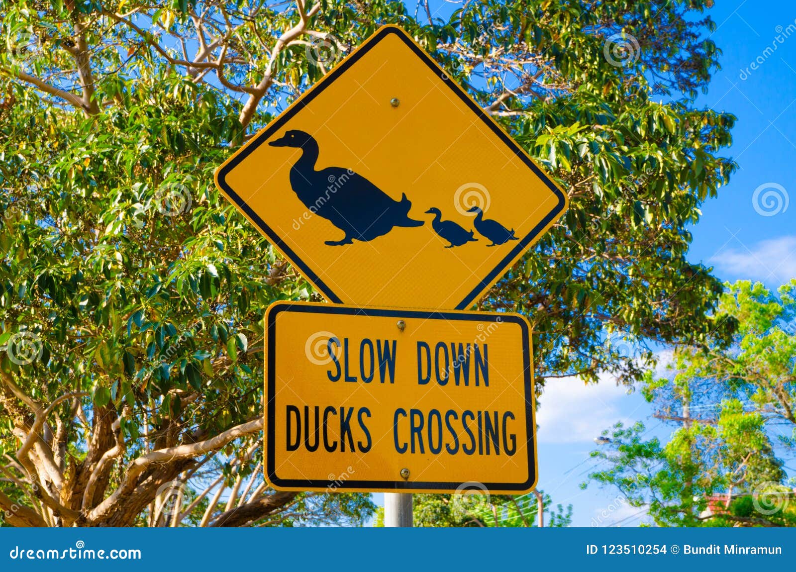 Yellow Traffic Sign for Slow Down Duck Crossing. Stock Photo - Image of ...