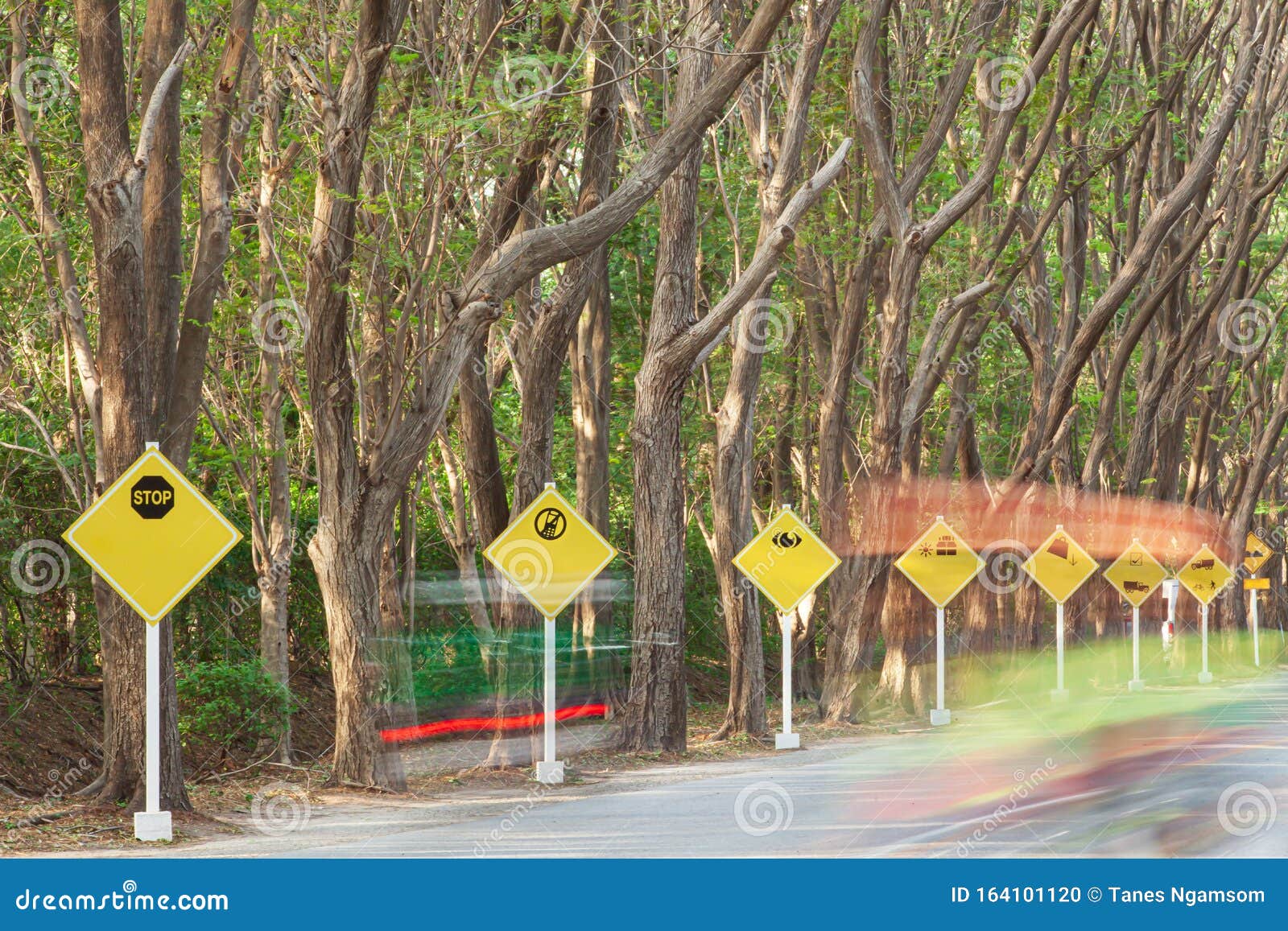 Yellow Traffic Signs on a Tree Lined Road Stock Photo - Image of safety ...