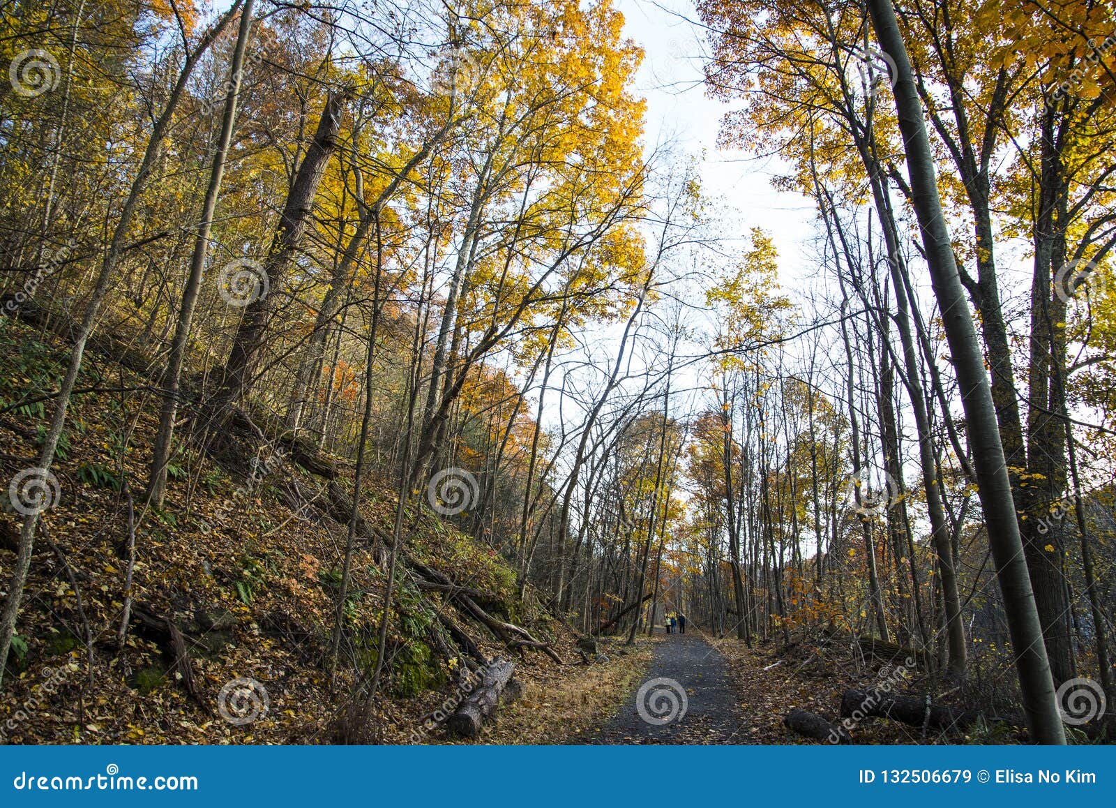 Yellow trail stock image. Image of rural, daylight, trail - 132506679