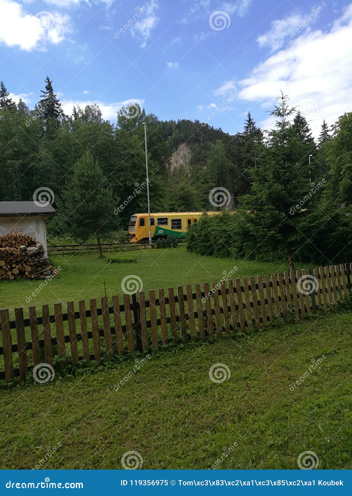 Yellow train editorial image. Image of train, nature - 119356975