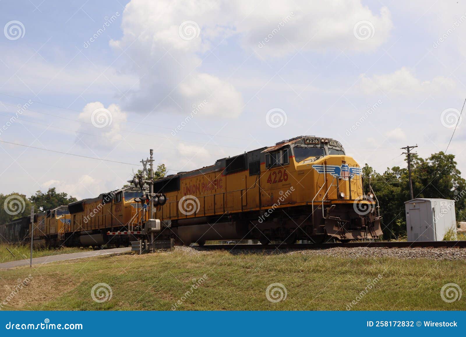 Yellow train passing by editorial photography. Image of greenery ...