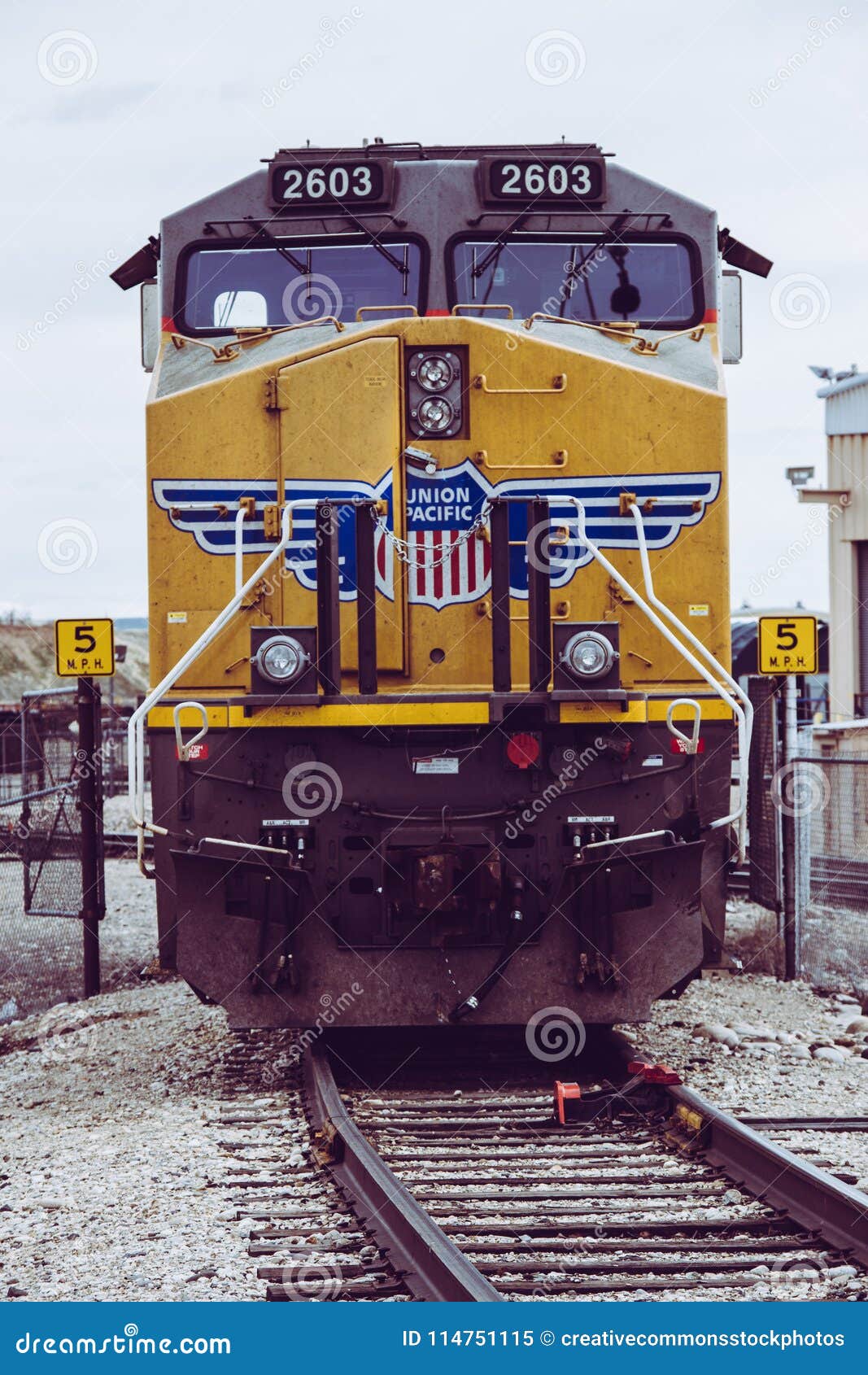 Yellow Train On Railway Picture. Image: 114751115