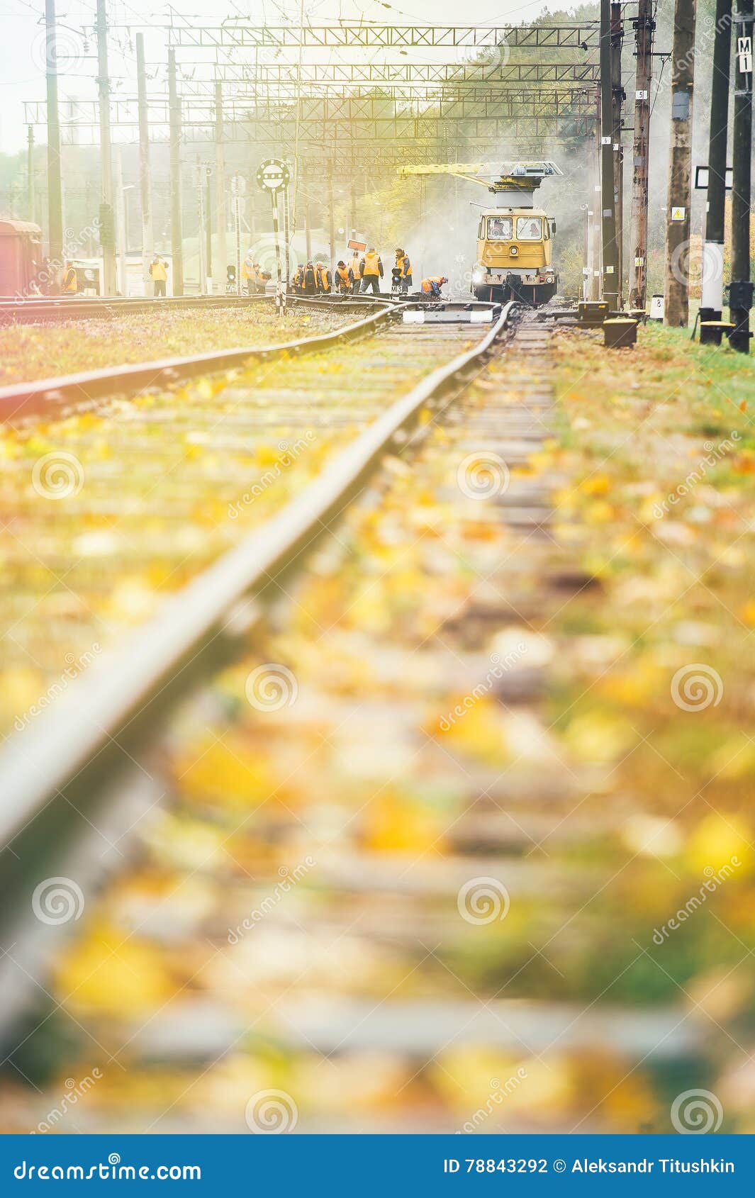 The Yellow Train on the Tracks in the Fall Leaves Stock Photo - Image ...