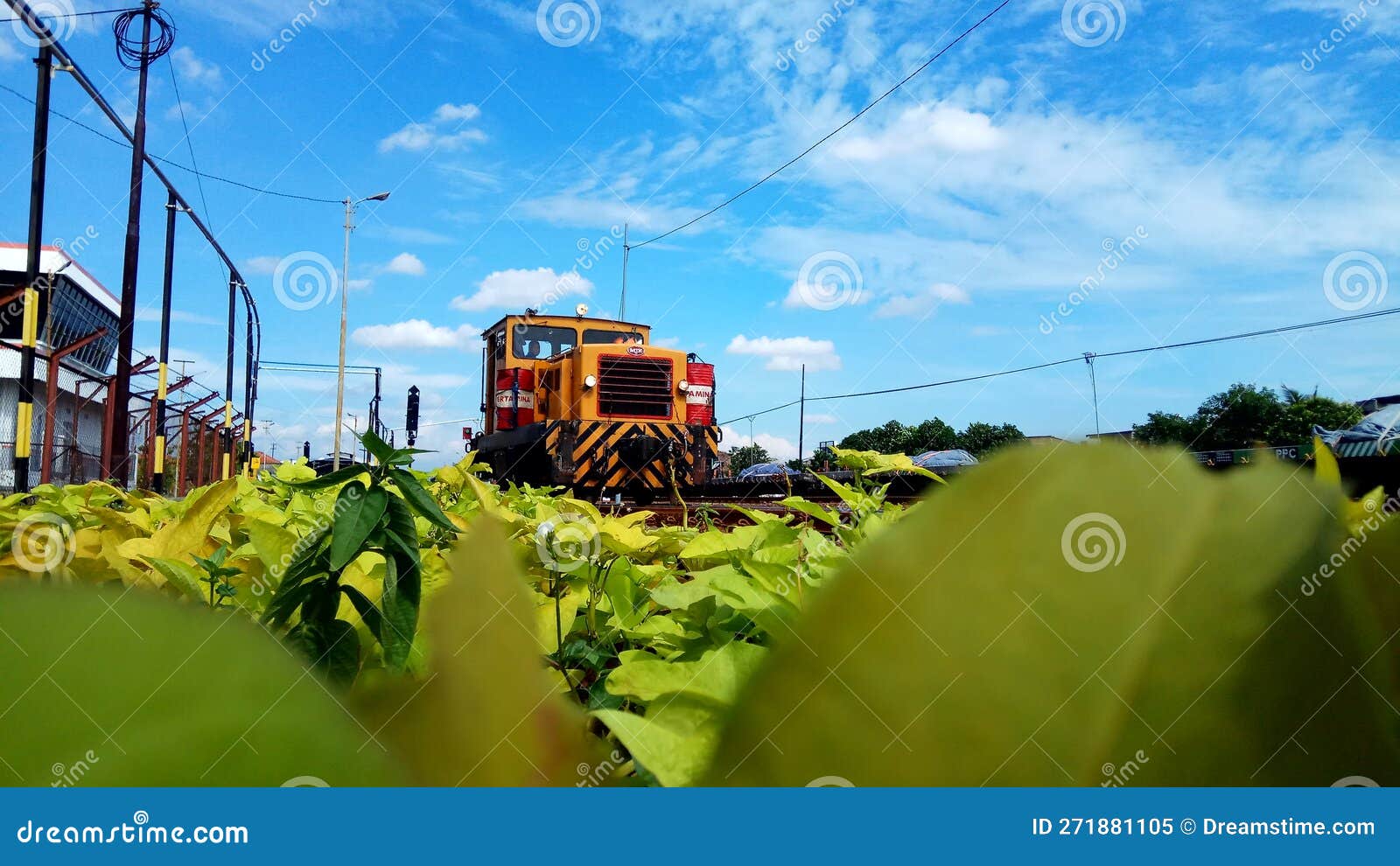 Yellow Trains Carrying Liquid Fuel Stock Image - Image of train ...