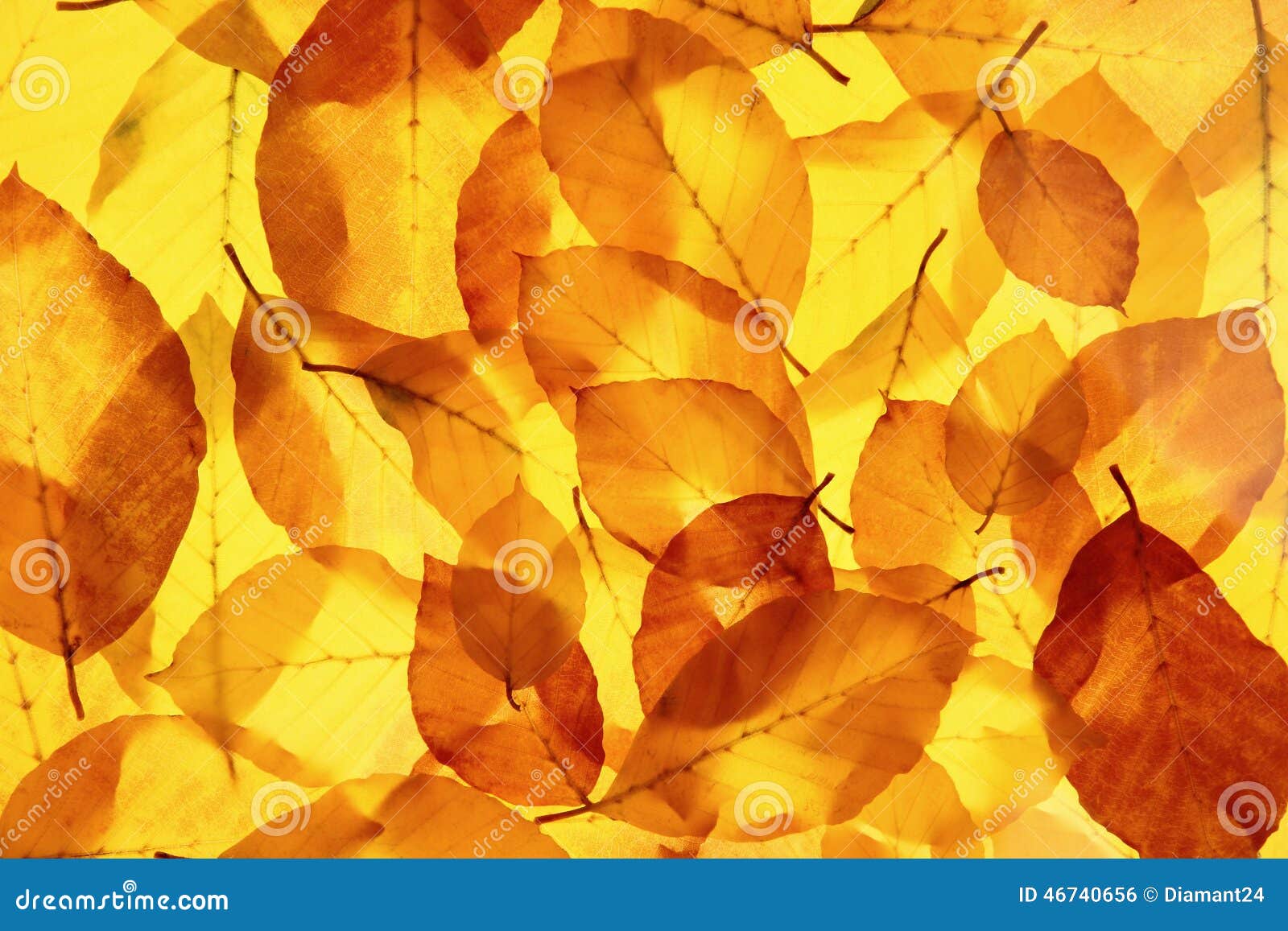 Yellow Tree Leaves As Bright Autumn Background Stock Photo - Image of ...