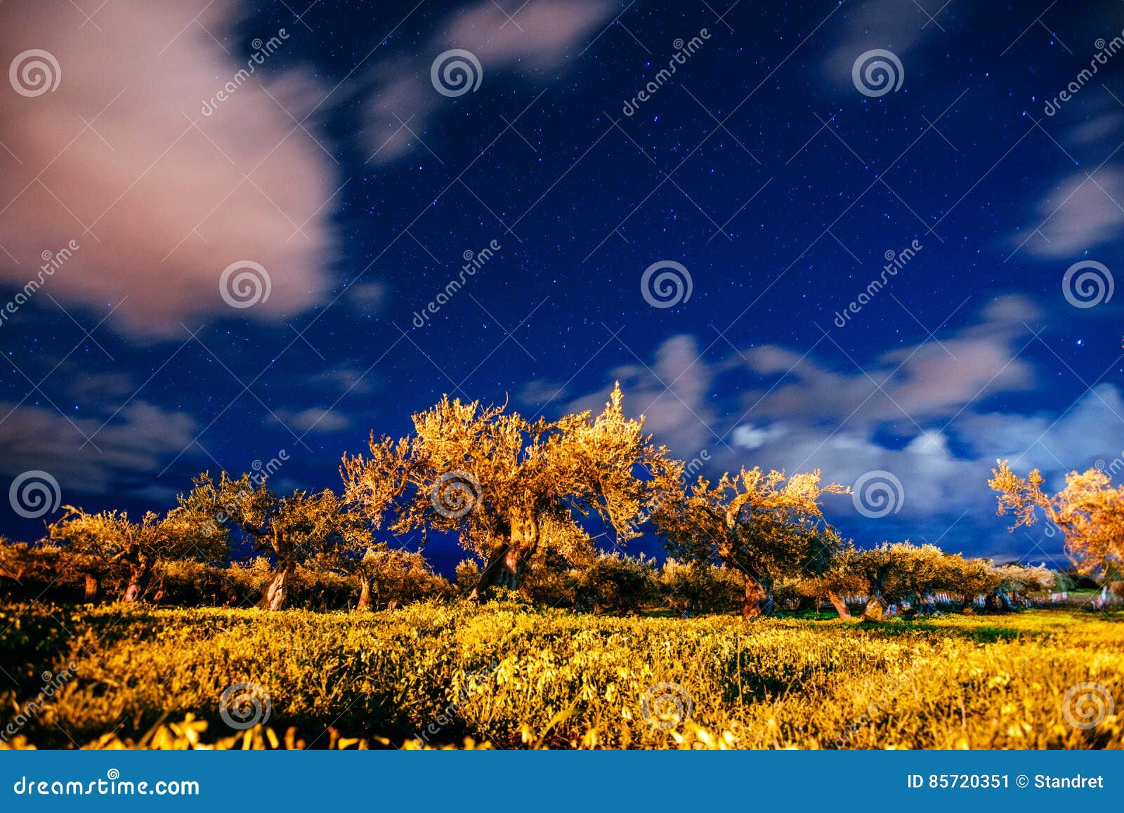 Yellow tree and starry sky stock image. Image of natural - 85720351