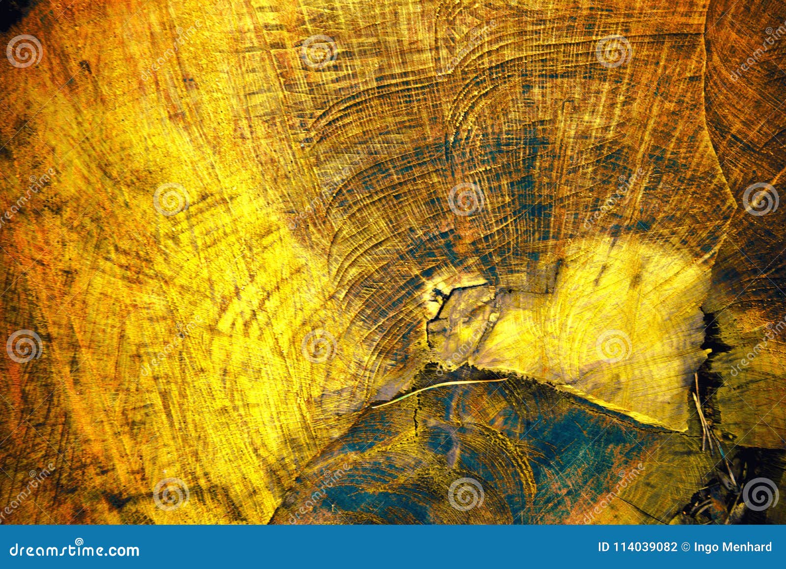 Yellow Tree Trunk Background Texture Stock Photo - Image of people ...