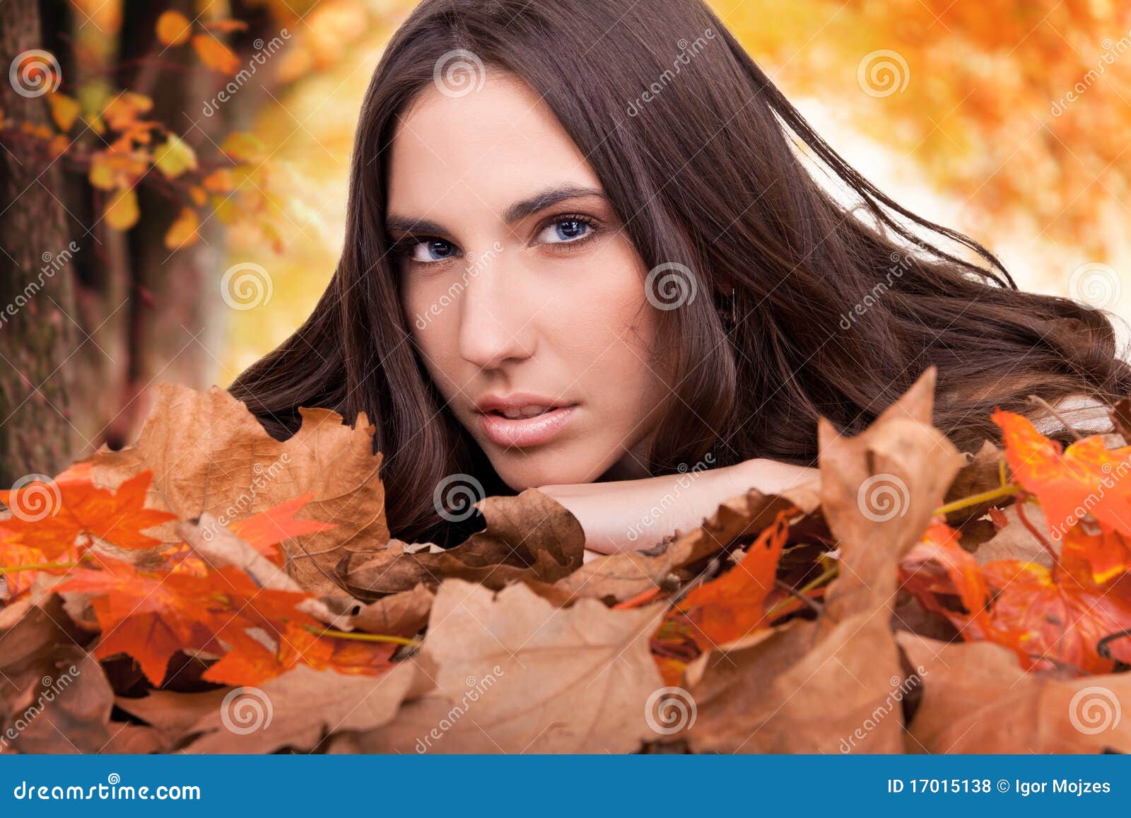 Yellow Trees and Girl in Dry Leaves Stock Photo - Image of fall, beauty ...