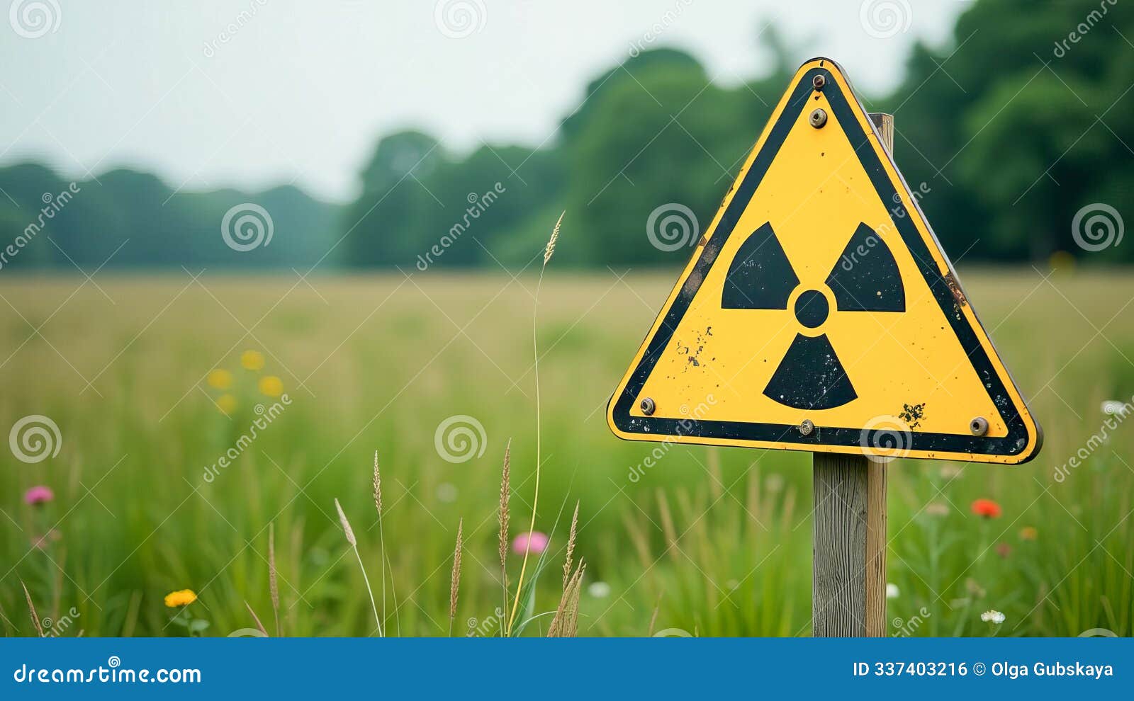 Nuclear Symbol Royalty-Free Stock Photography | CartoonDealer.com #51879503
