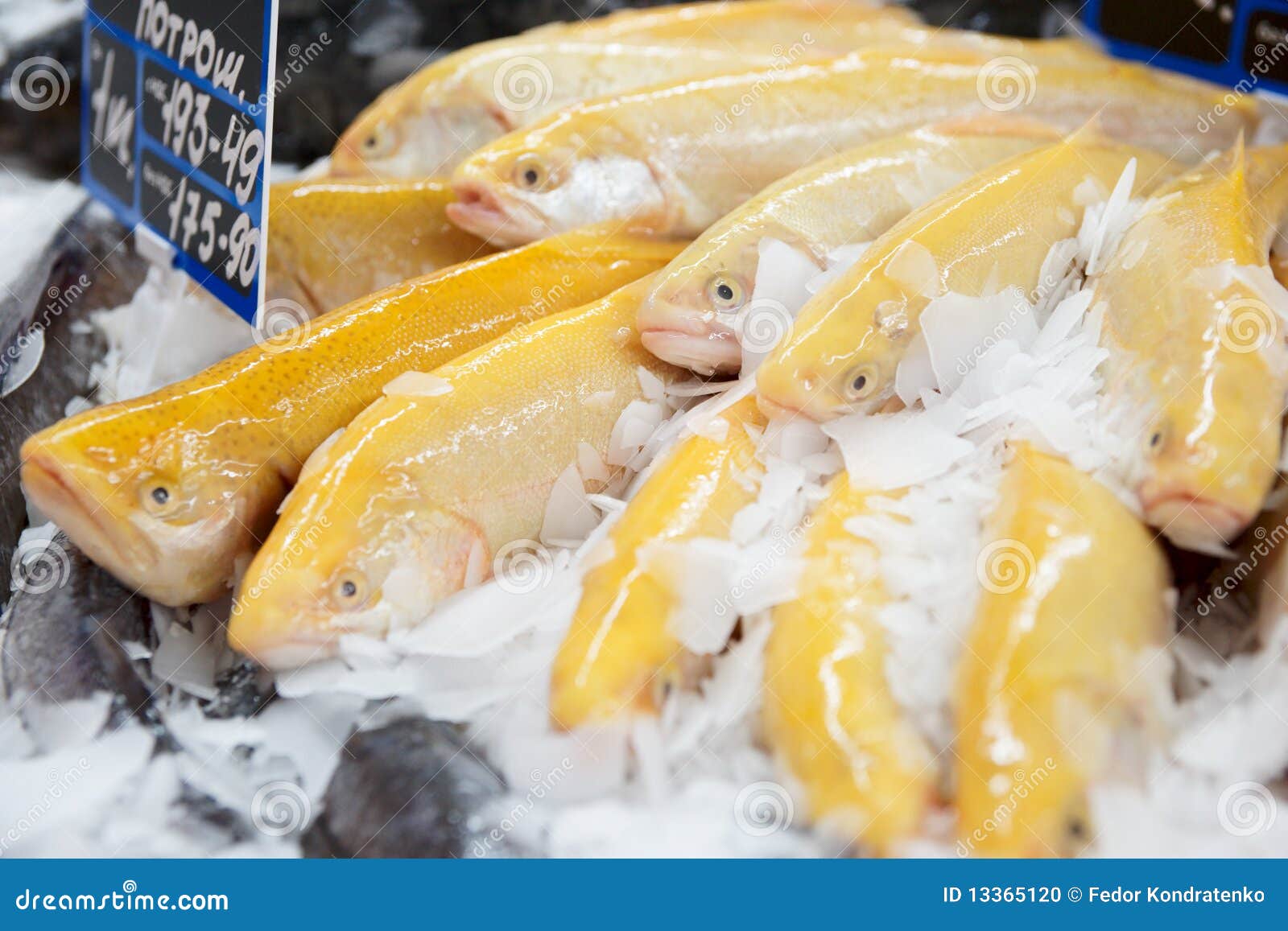 Yellow Trout on Fish Market Display Stock Photo - Image of product ...