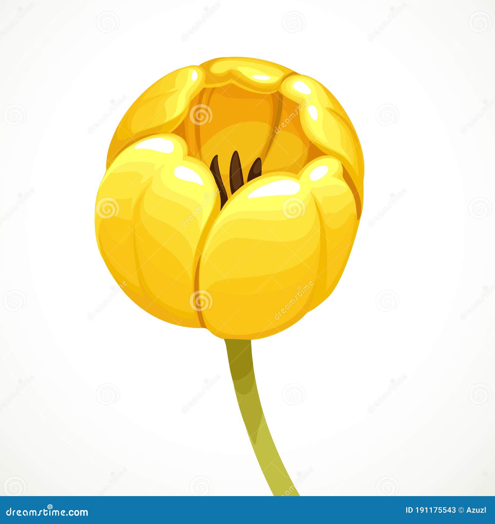 Yellow Tulip Half-open Flower Isolated on White Stock Vector ...
