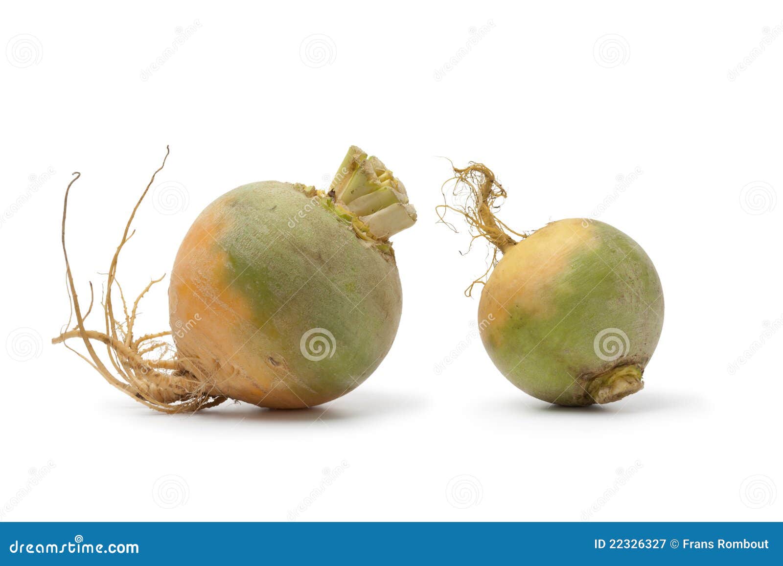 Yellow turnips stock image. Image of swede, farmers, market - 22326327