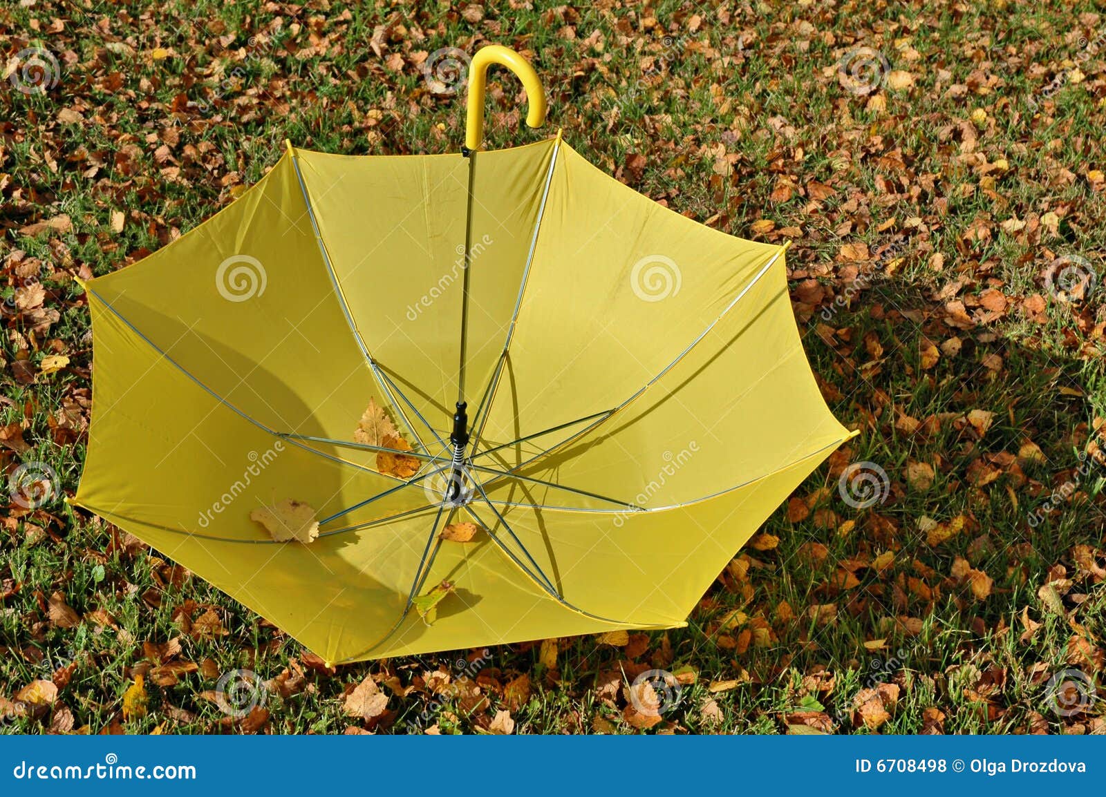 Yellow Umbrella Movie