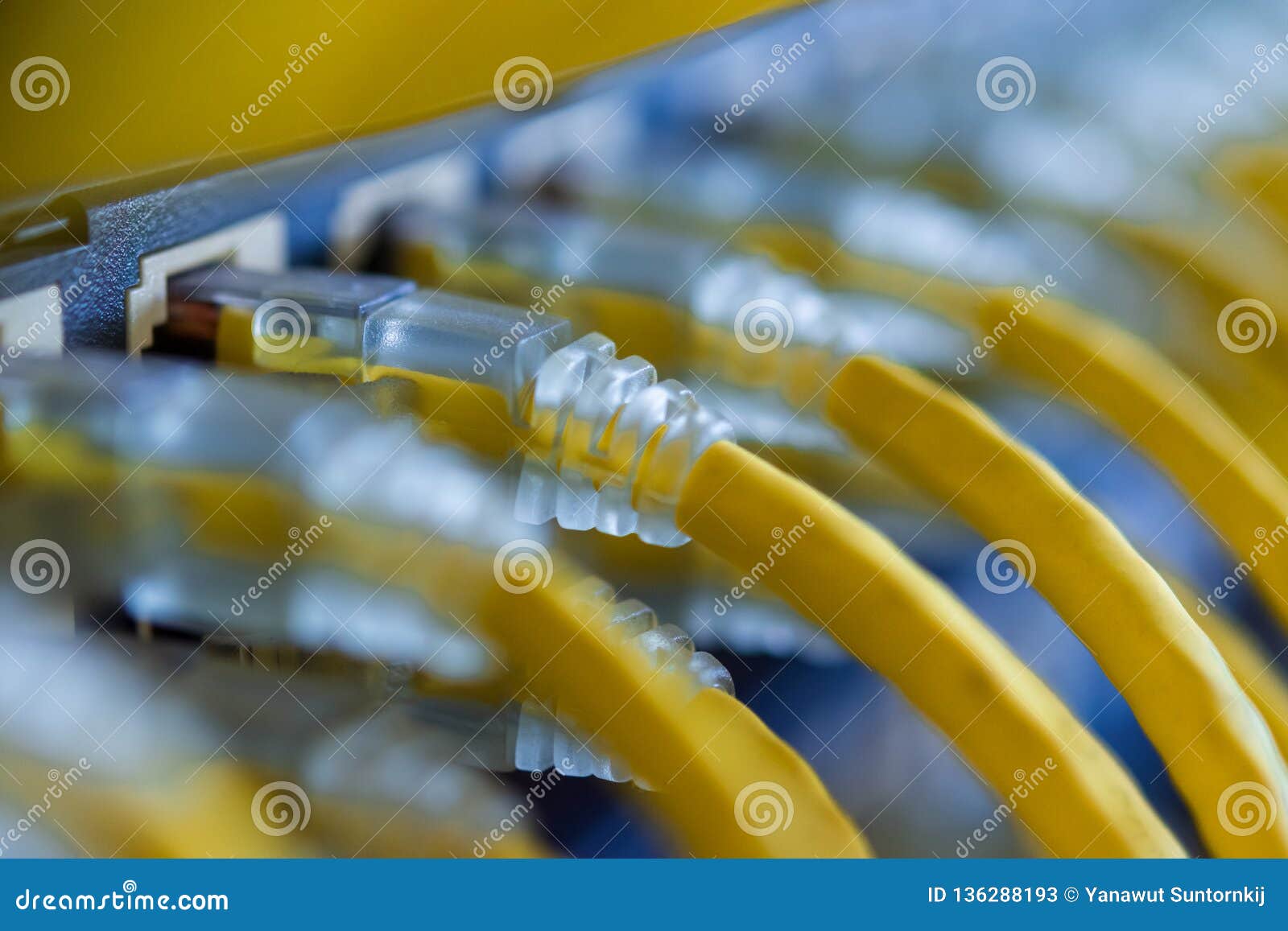 Yellow UTP Cables Connected on Patch Panel Stock Image - Image of panel ...