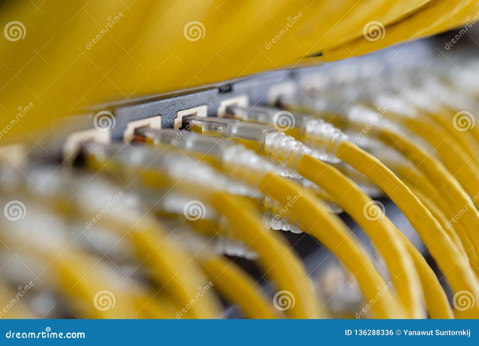 Yellow UTP Cables Connected on Patch Panel Stock Photo - Image of ...