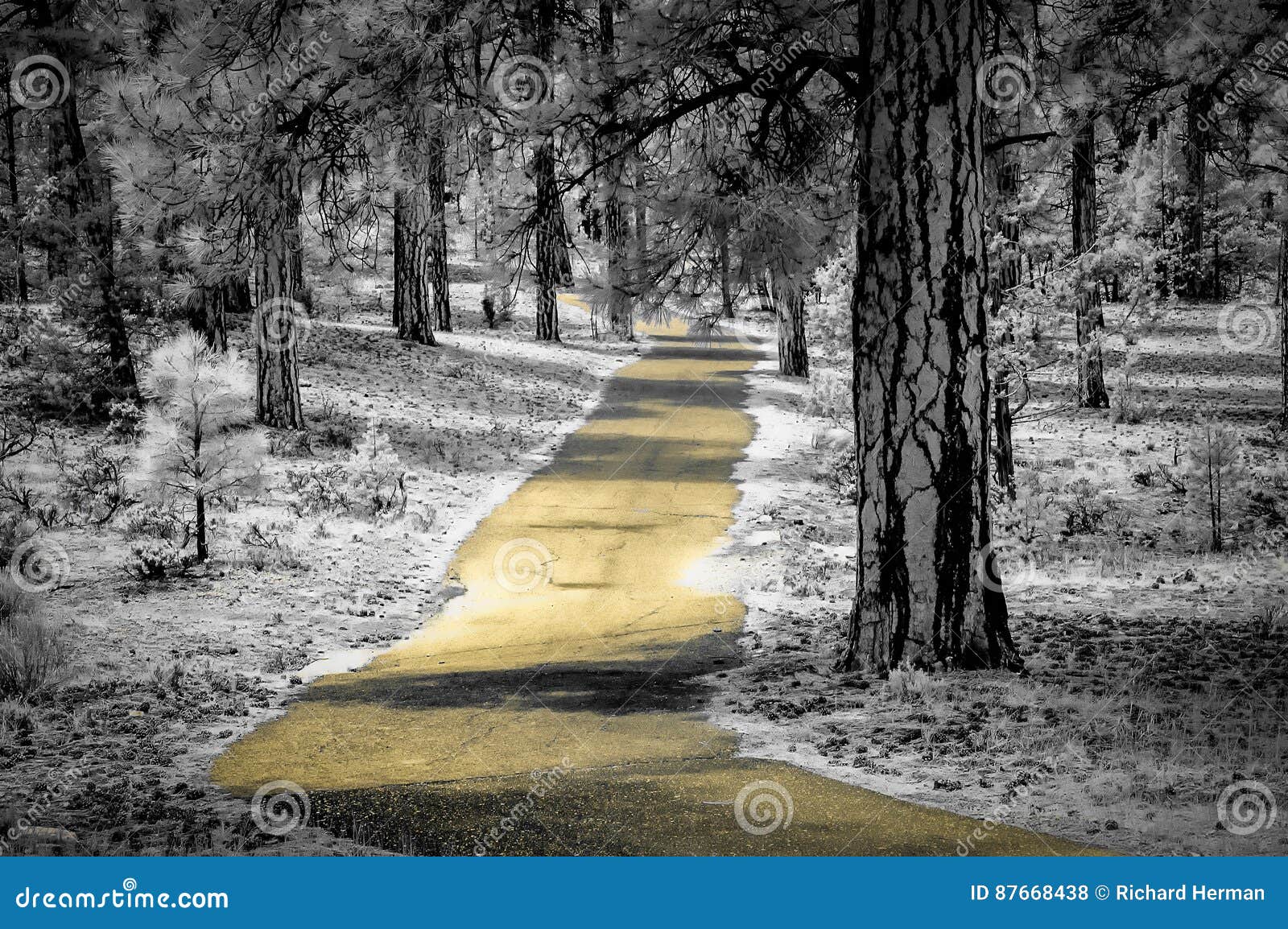 Yellow Walkway in the Grand Canyon Stock Photo - Image of amazing ...