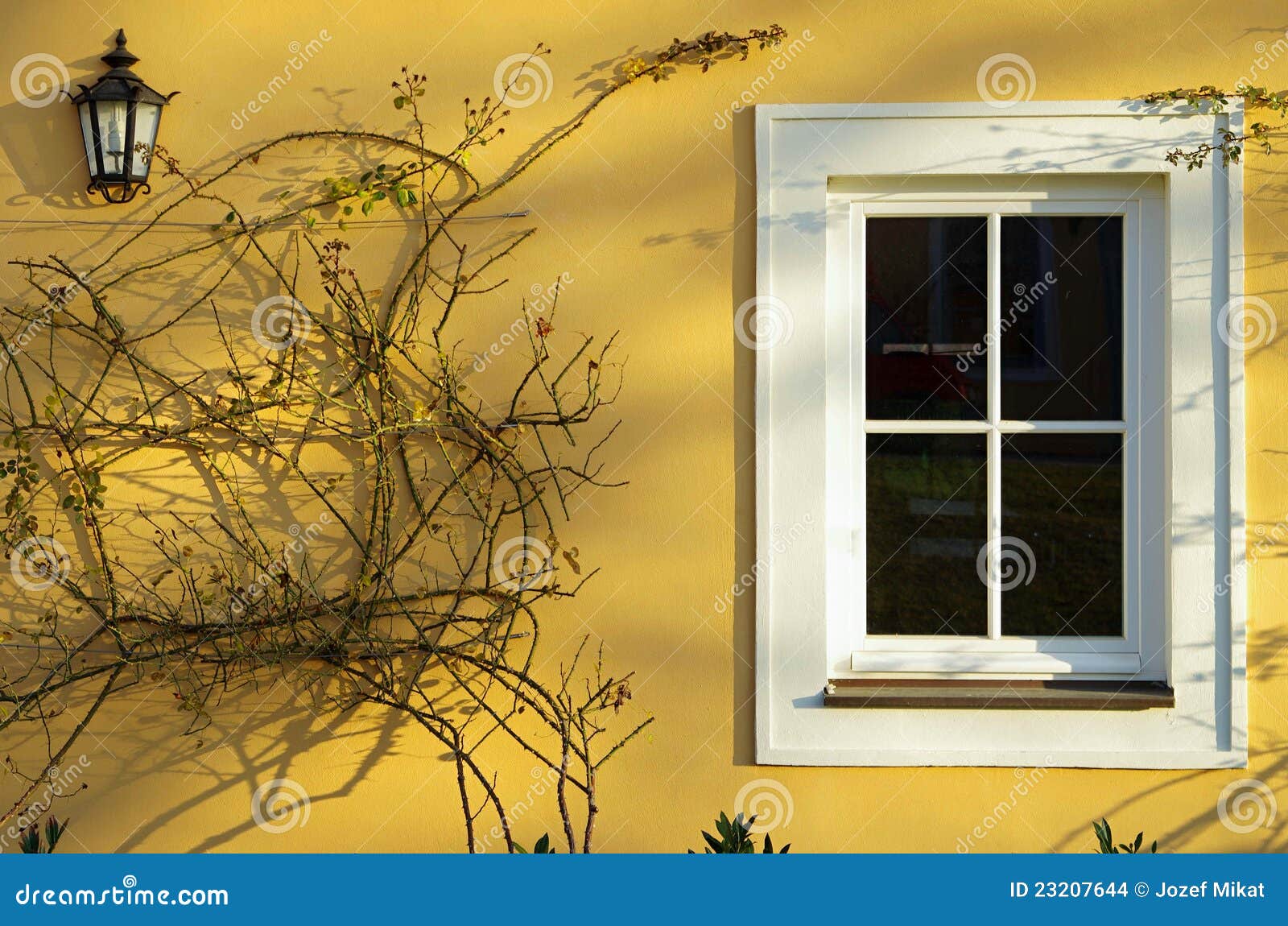 Yellow wall with window stock photo. Image of design - 23207644