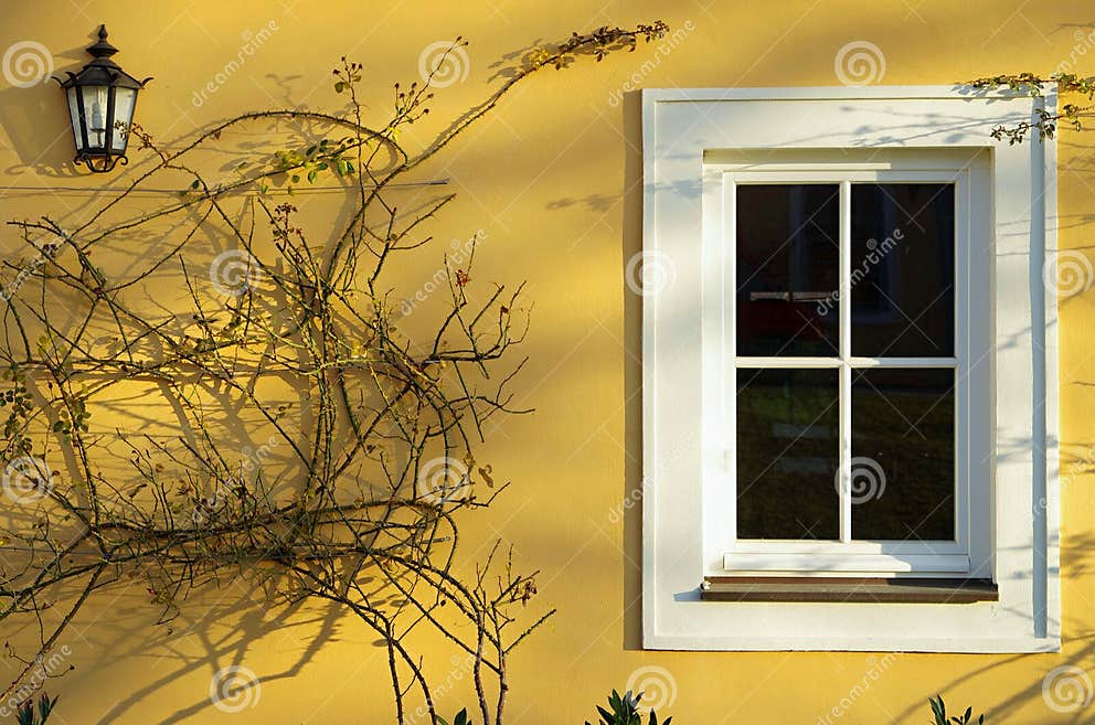 Yellow wall with window stock photo. Image of design - 23207644