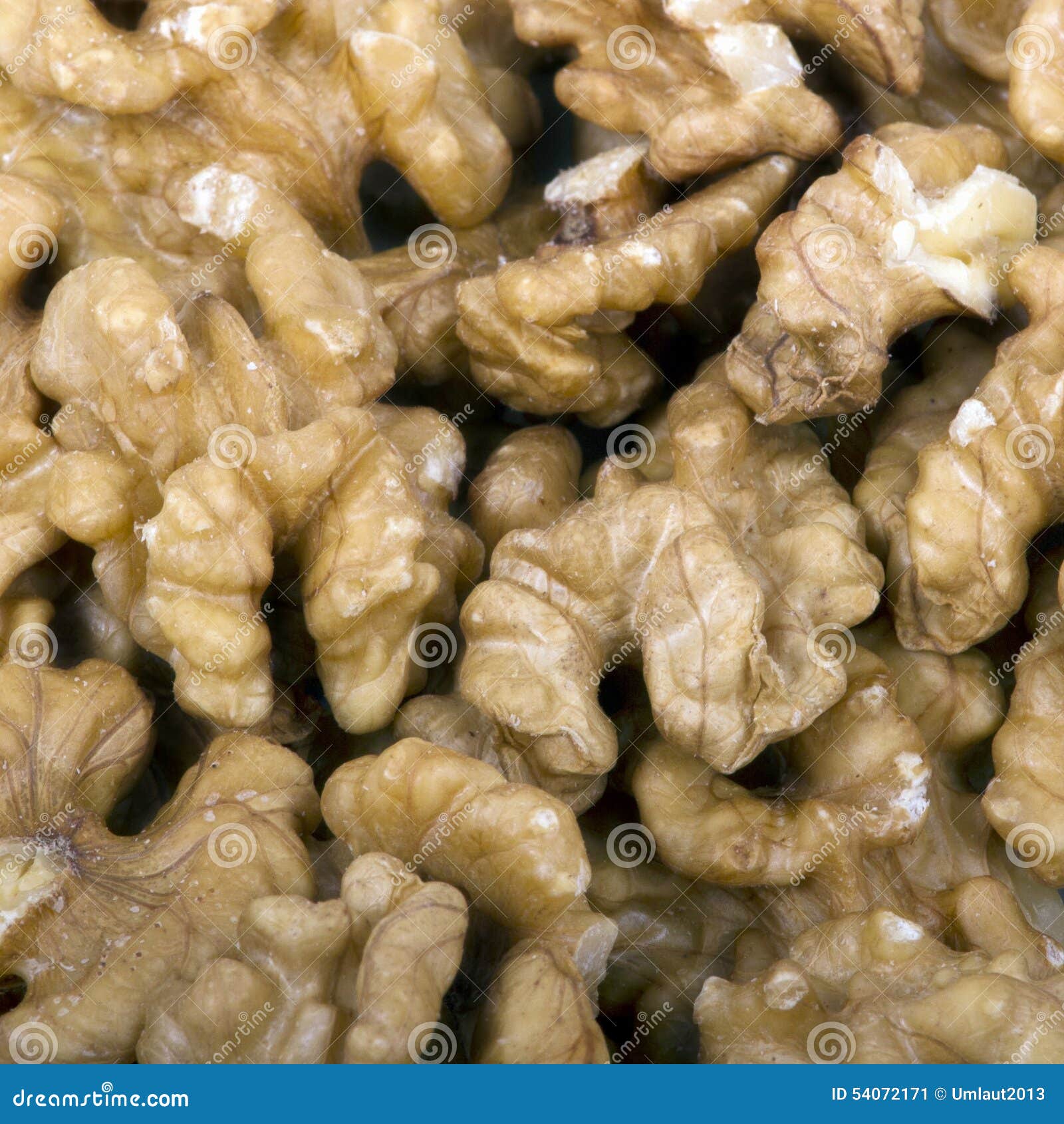 Yellow walnut kernels stock image. Image of ripe, brown - 54072171