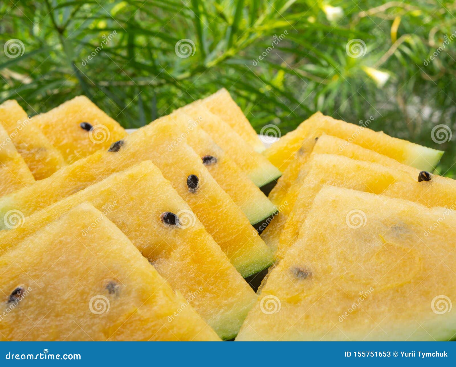 Yellow Watermelon Cut into Triangles, Close Up Stock Image - Image of ...