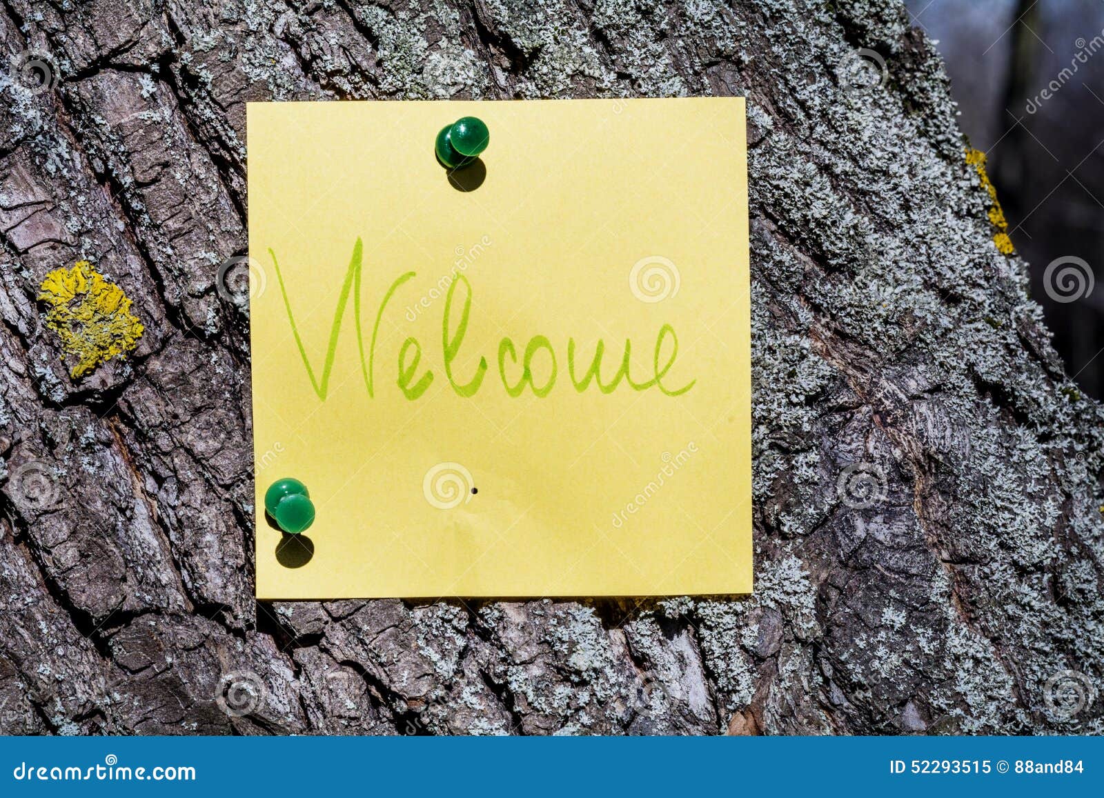 Yellow Welcome Sign Pinned on a Tree Stock Image - Image of note ...