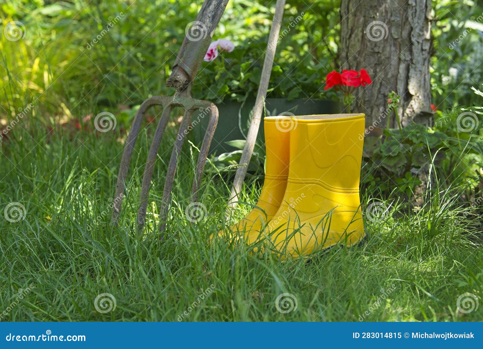 Yellow Wellingtons Standing on the Grass by the Pitchfork, Stock Image ...