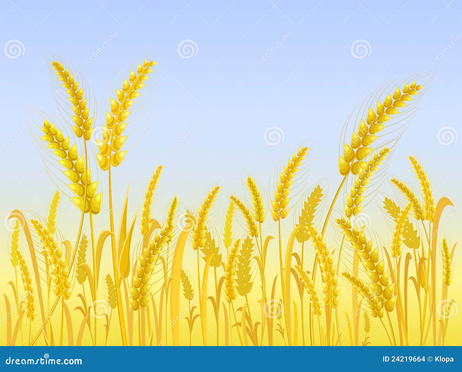 Yellow Wheat Field with Light Blue Sky Stock Vector - Illustration of ...