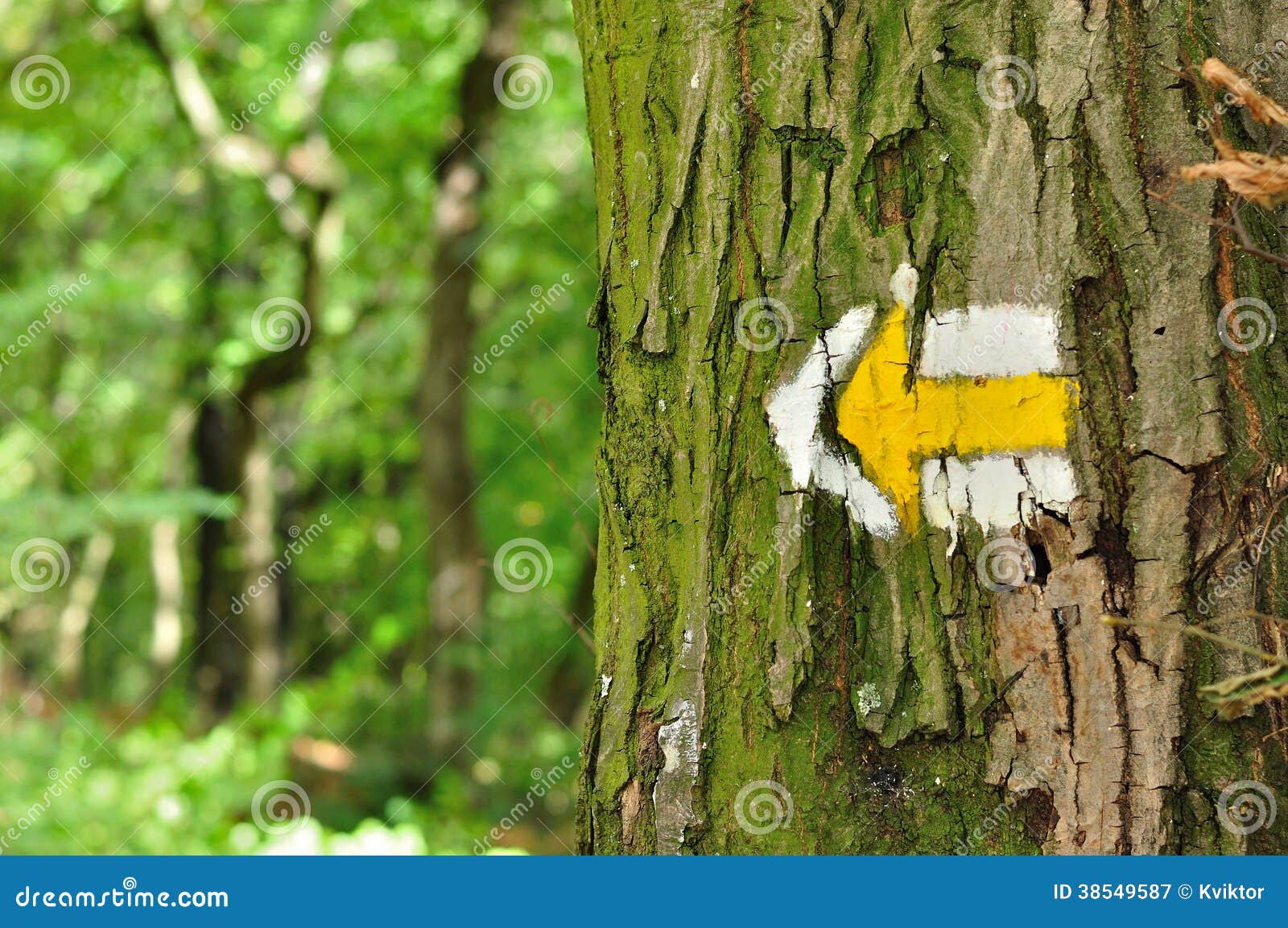 Yellow and White Hiking Trail Signs Symbols on Tree Stock Image - Image ...
