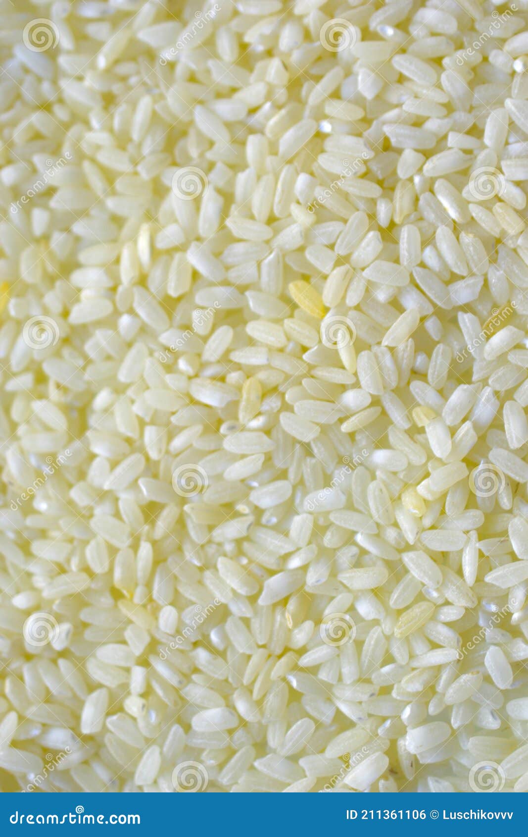 Yellow White Rice Grains for Close-up Cooking Stock Photo - Image of ...