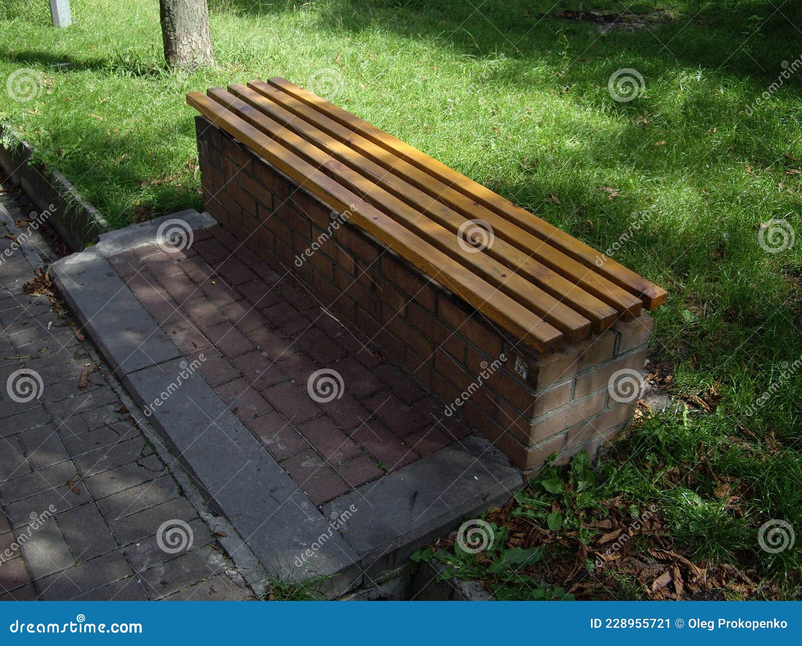 Yellow Wooden Bench in the Shade of the Park Trees Stock Image - Image ...