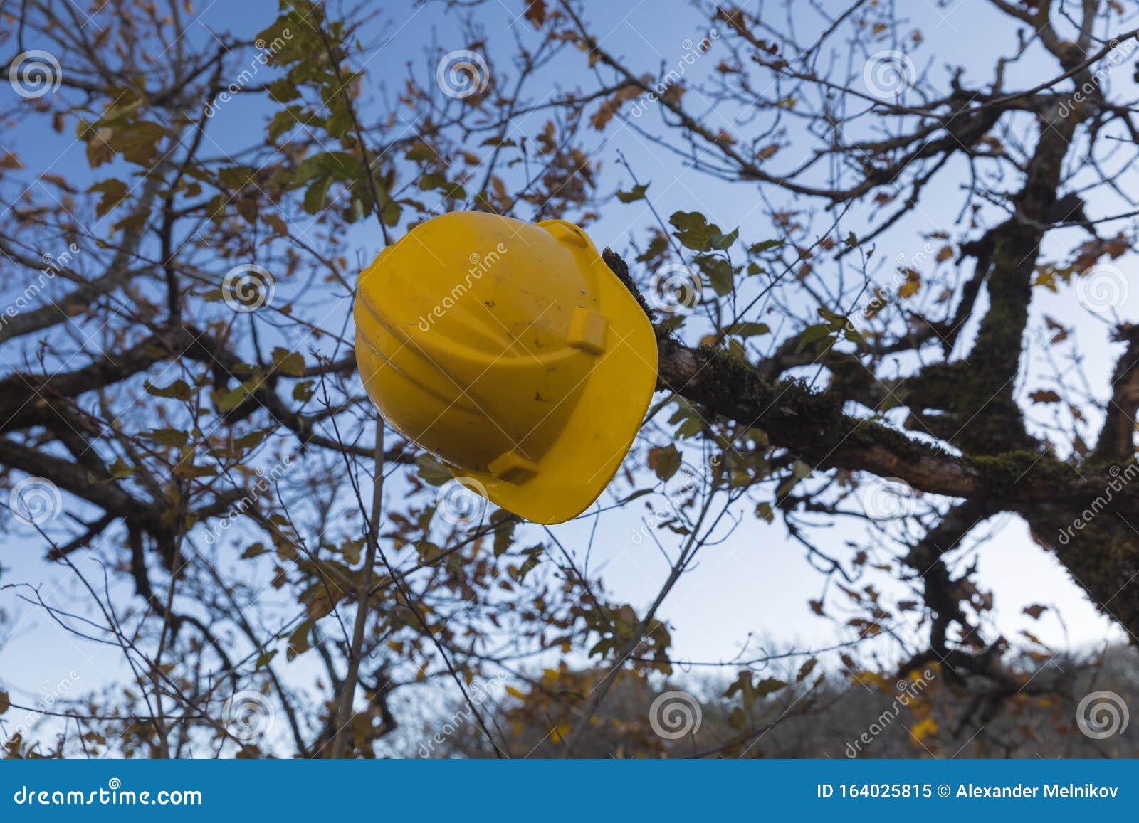 Yellow Work Helmet Hanging on a Tree Stock Image - Image of pickup ...