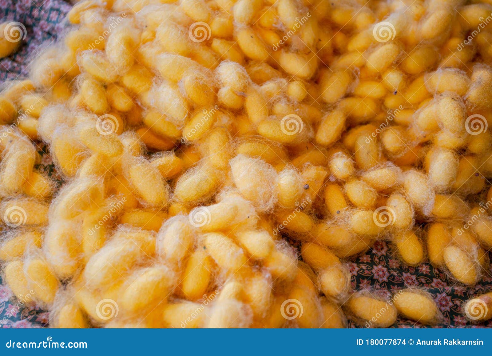 Panoil Stock Photos - Free & Royalty-Free Stock Photos from Dreamstime