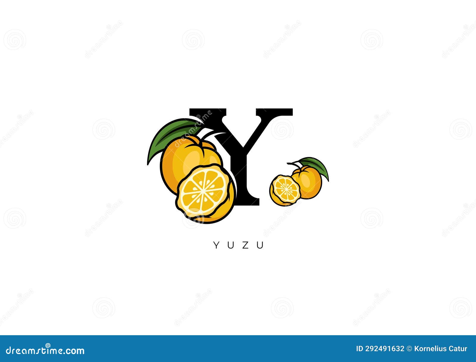 Yellow YUZU FRUIT Vector, Great Combination of Yuzu Fruit Symbol with ...